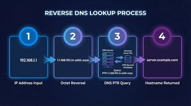 Reverse DNS Lookup Gratuit | DNS Robot